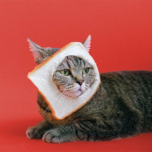 No disponible - PsicoStasis